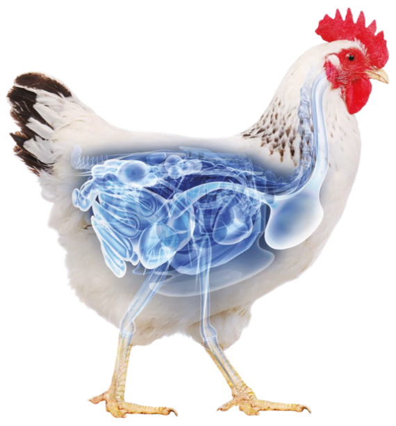 Promitec: Investigación, innovación y resultados, somos su mejor aliado.