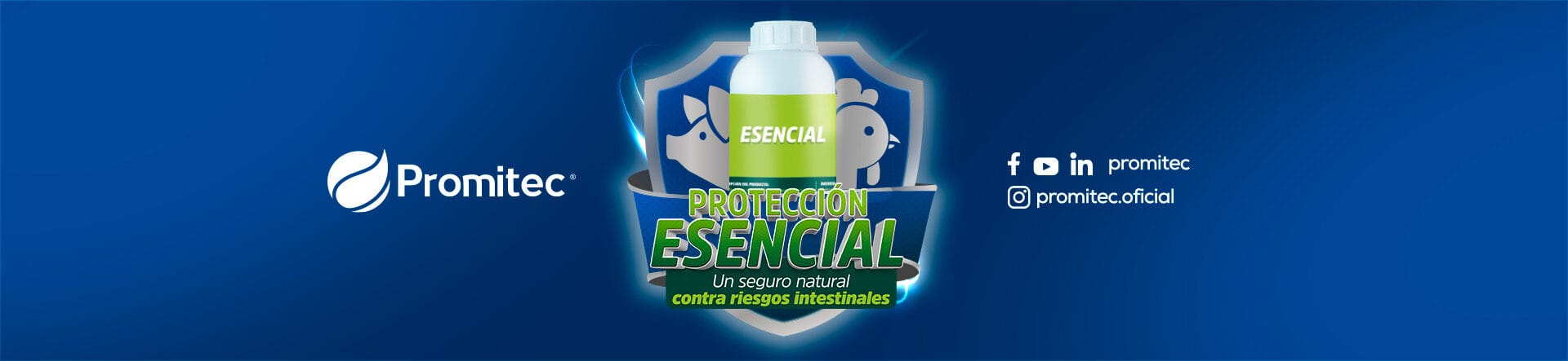 Promitec: Investigación, innovación y resultados, somos su mejor aliado.