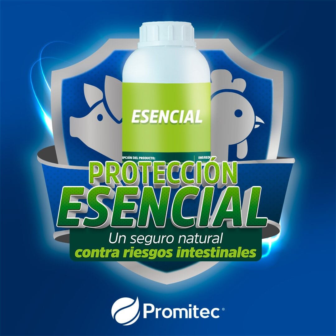 Promitec: Investigación, innovación y resultados, somos su mejor aliado.
