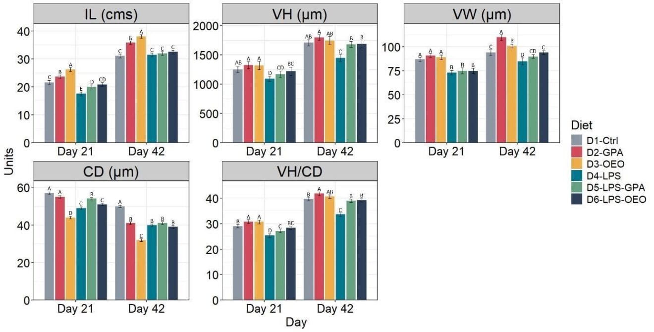Promitec: Investigación, innovación y resultados, somos su mejor aliado.