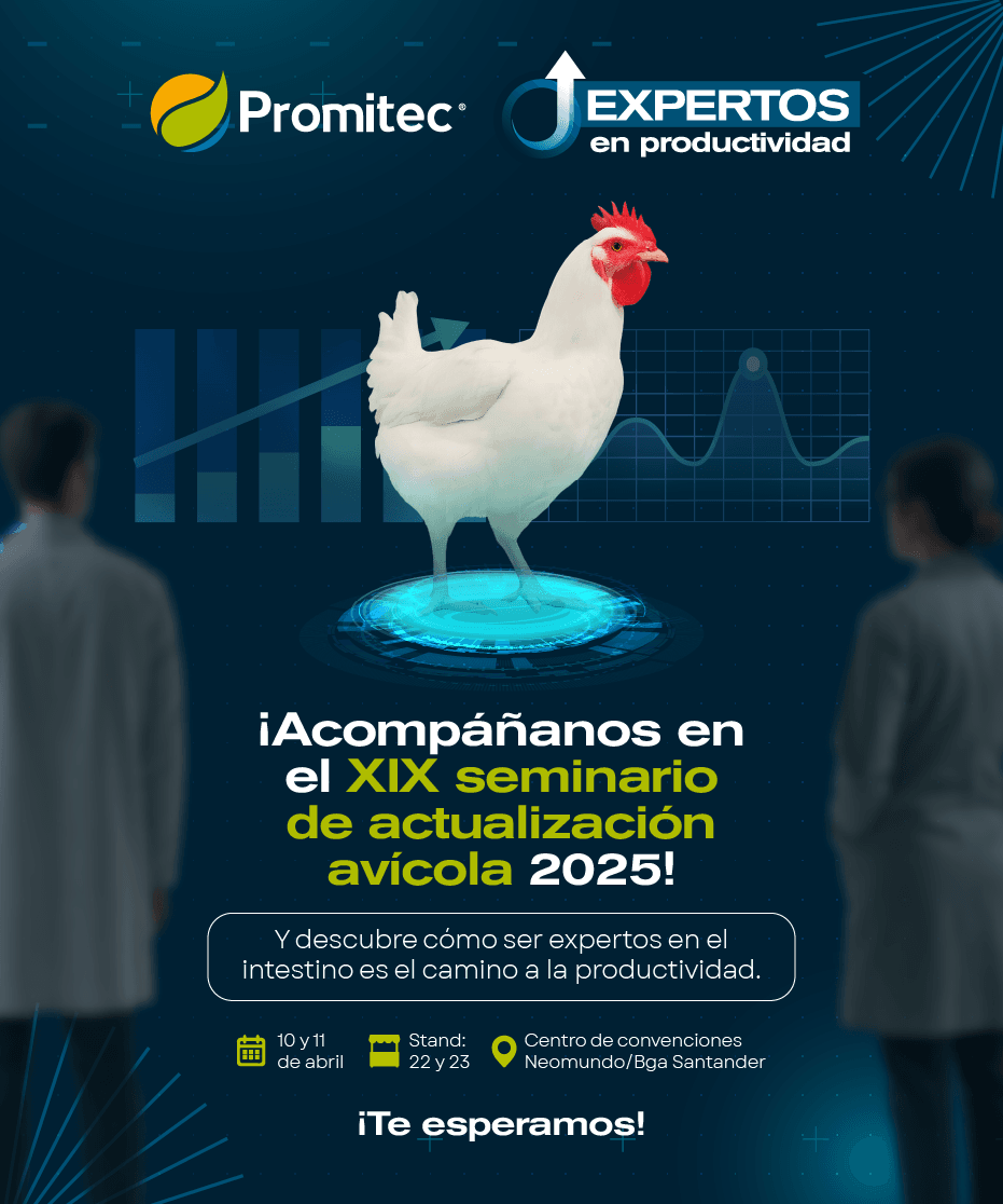 Promitec: Investigación, innovación y resultados, somos su mejor aliado.